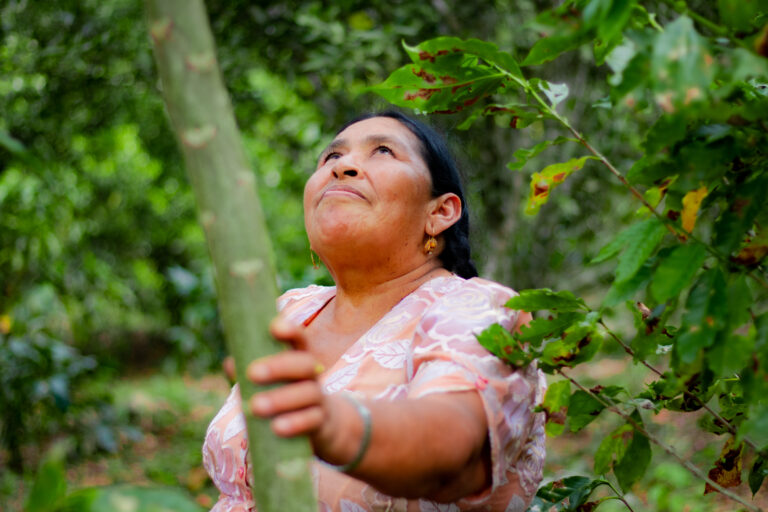 Over Trees for All - Trees for All