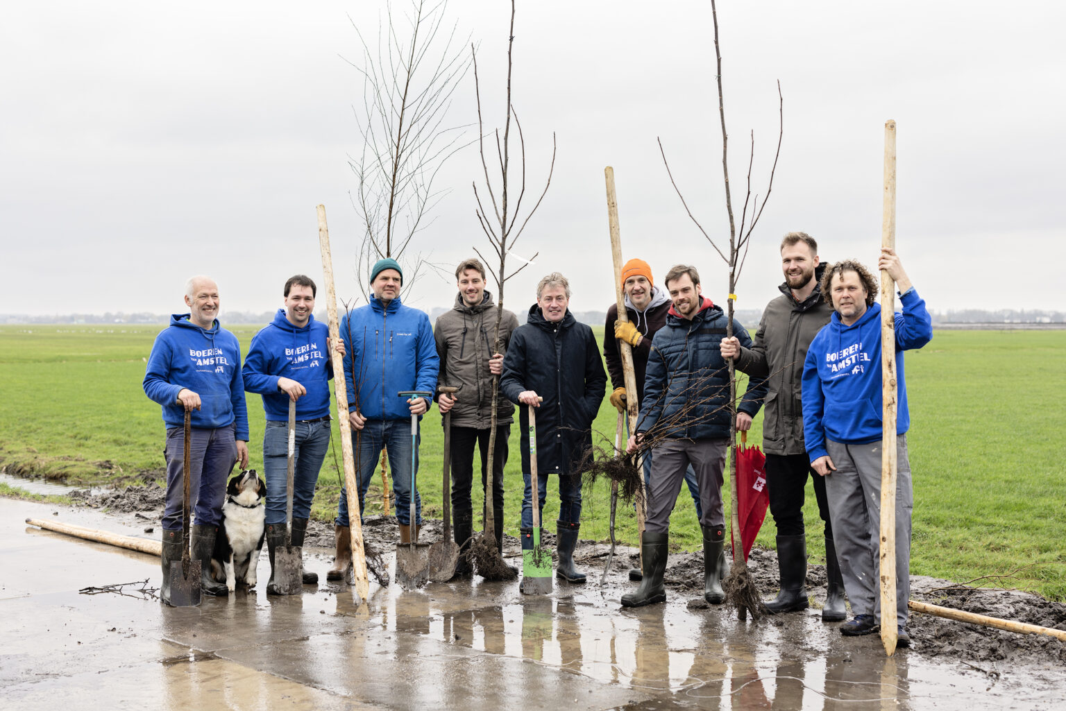 Over Trees for All - Trees for All