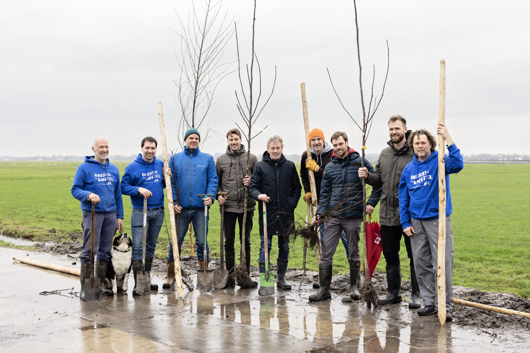 Over Trees for All - Trees for All