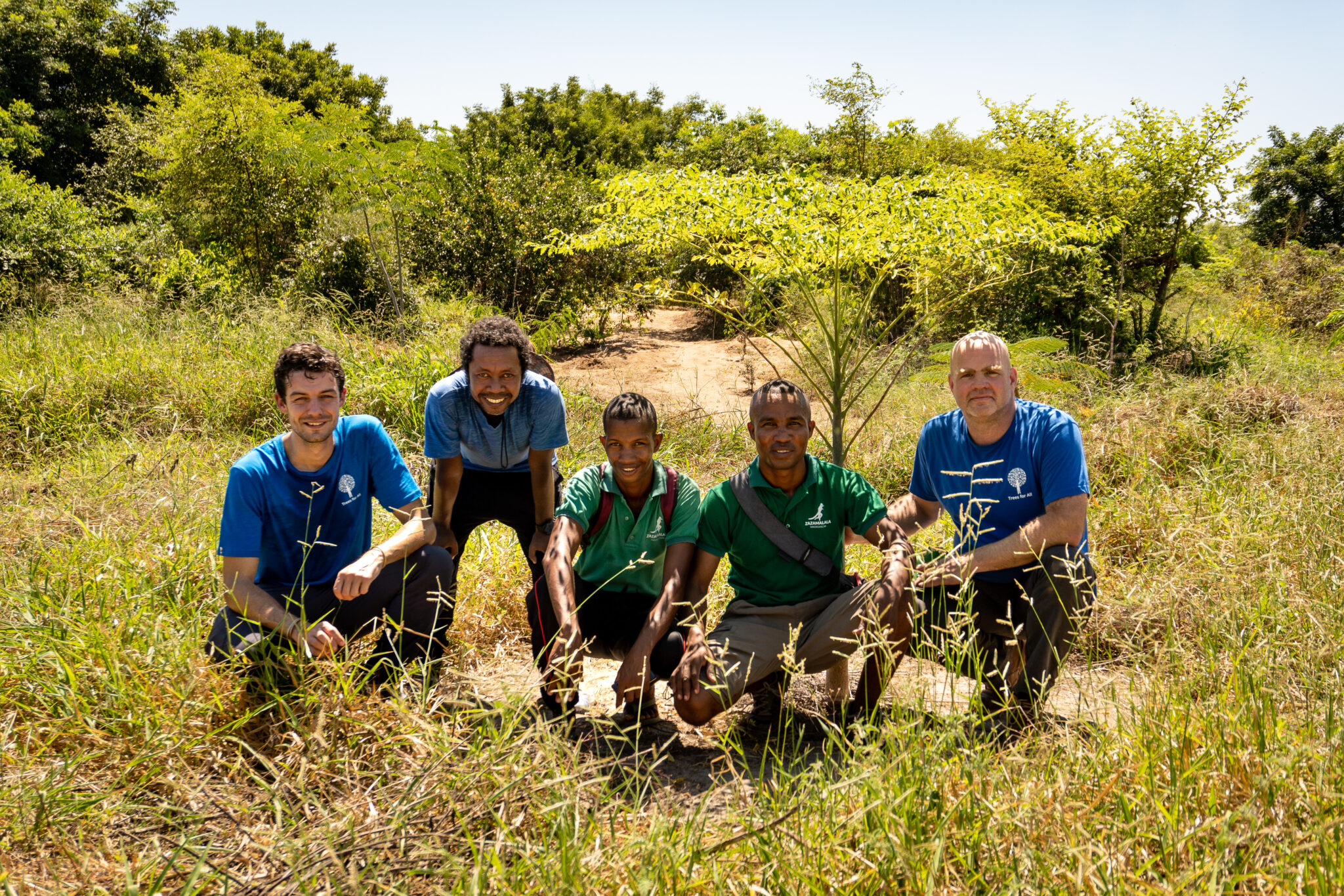 Over Trees for All - Trees for All