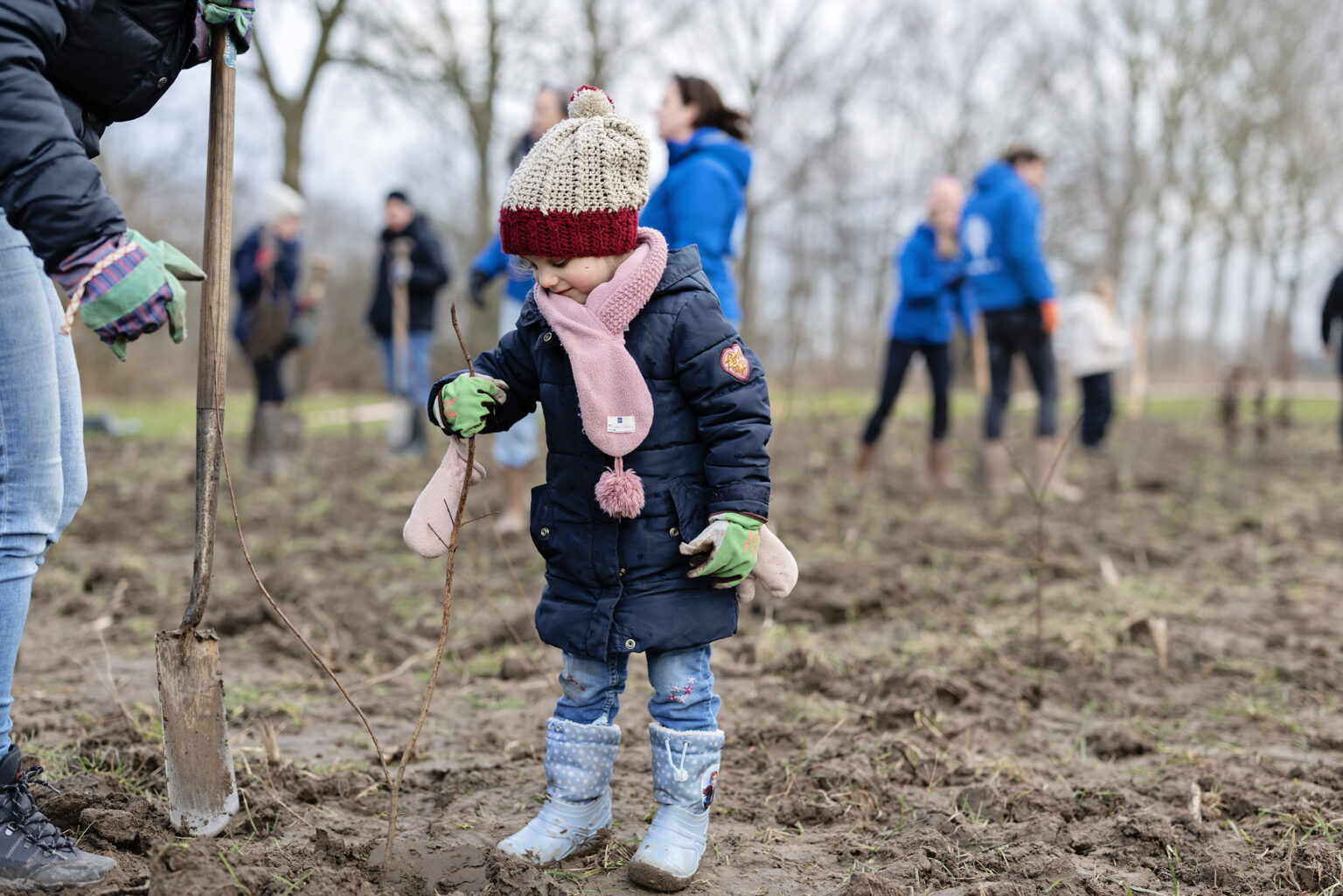 Over Trees for All - Trees for All